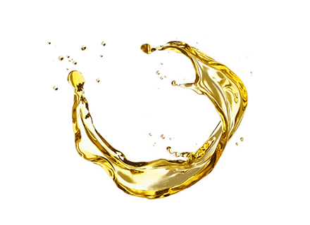 Cooking Oil Recycling | REMONDIS Online